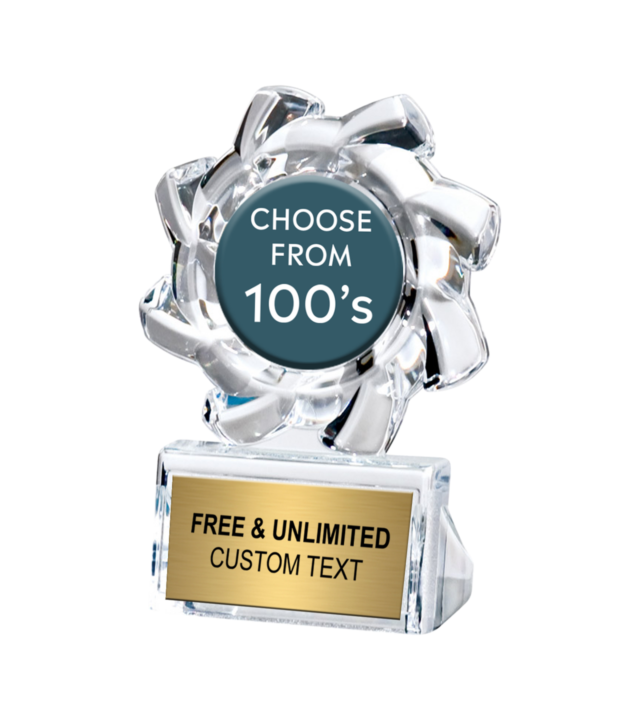 Acrylite Sunflower Insert Trophy