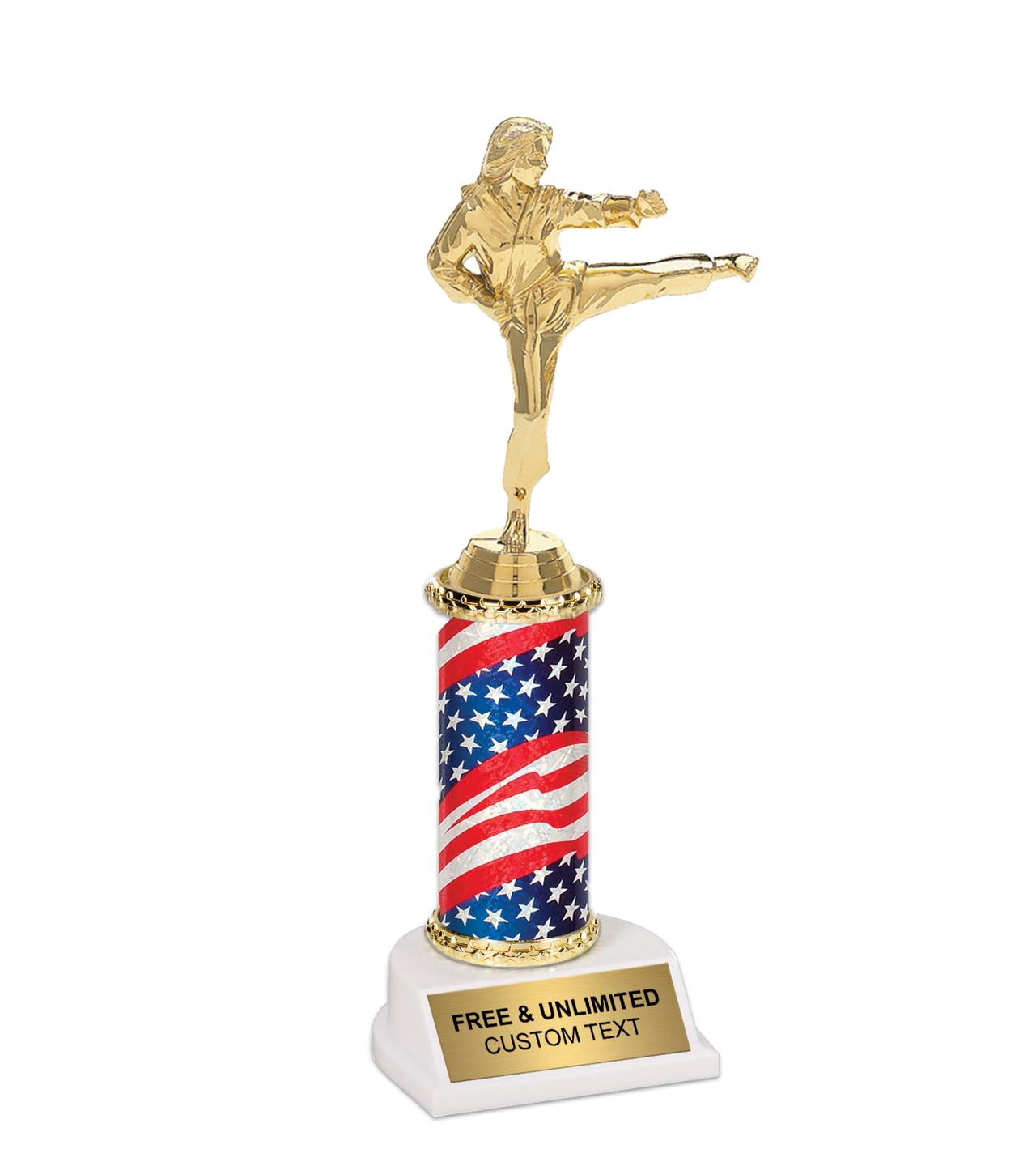 Epic Martial Arts Trophy