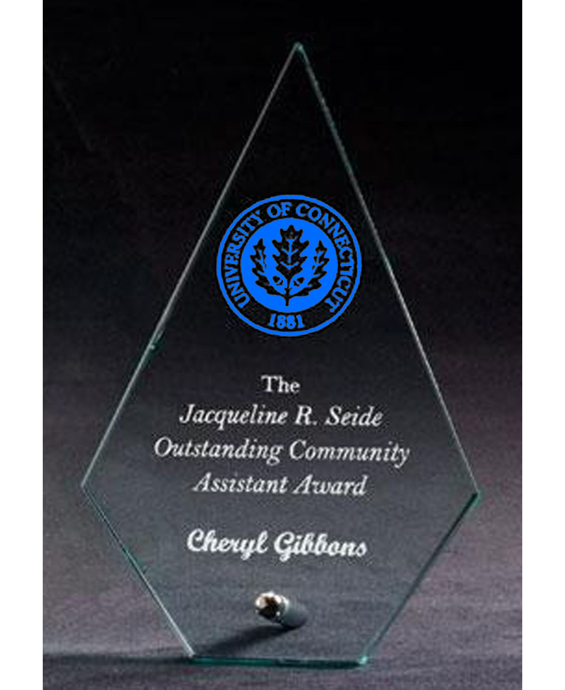 Color Printed Arrowhead Glass Plaque