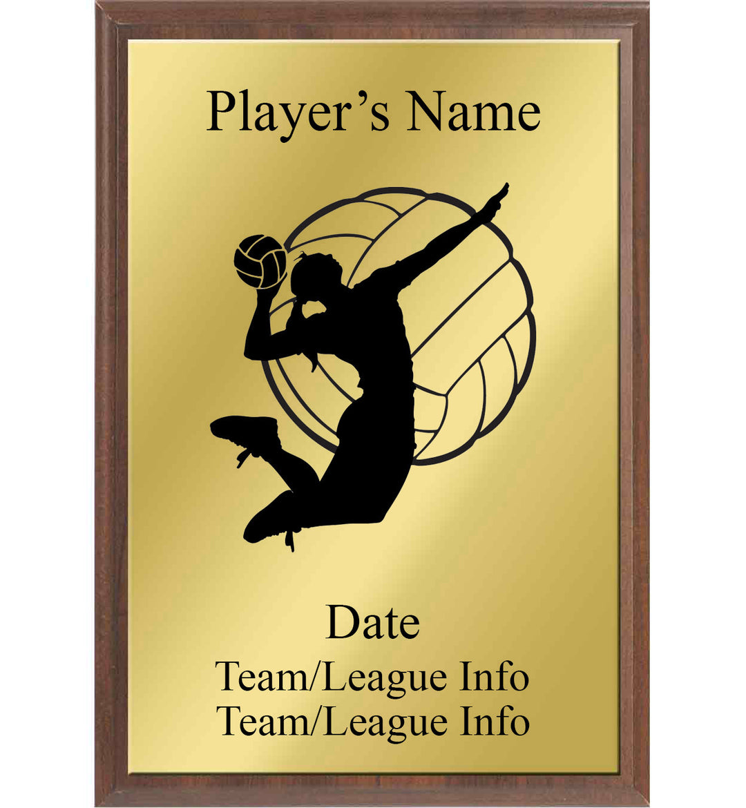 Volleyball Plaques | Order Custom Volleyball Plaque Awards Online at ...