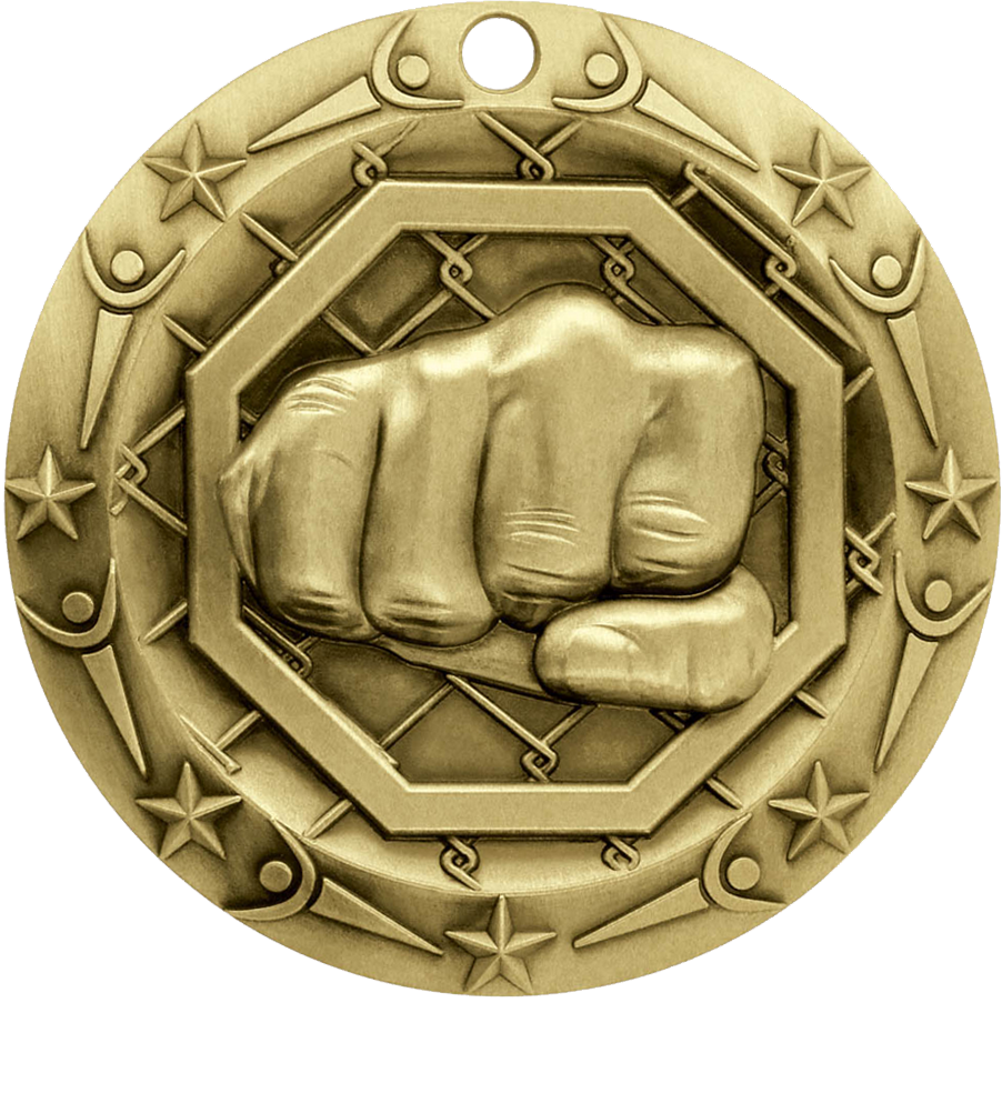 World Class MMA Medal